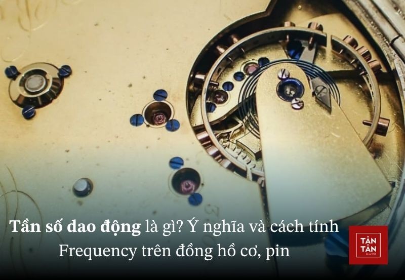 Tần số dao động là gì? Ý nghĩa và cách tính trên đồng hồ